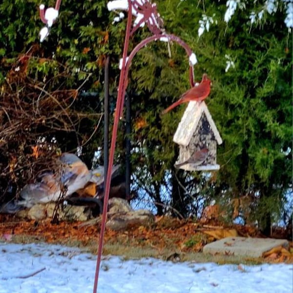 Edible Bird Home, Birdseed Birdhouse, Bird Seed House, Handmade Bird ...