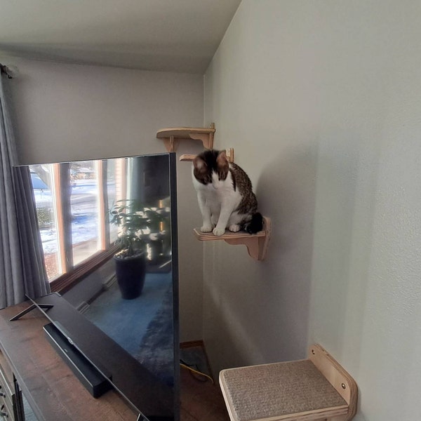 Corner Cat Wall Bed, Cat Shelf, Cat Platform, Cat Furniture, Cat Bed ...