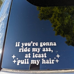 Wasted Paychecks Car Decal Art Bumper Sticker Decor Truck Window ...