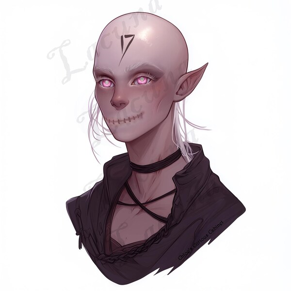 Mushroom Forest Circle Frame PNG Dnd Clipart Token Border Scrapbooking ...