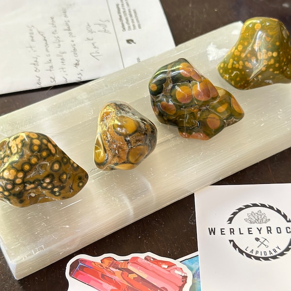 8th Vein and Assorted Ocean Jasper Tumbles, 2-3cm - Etsy