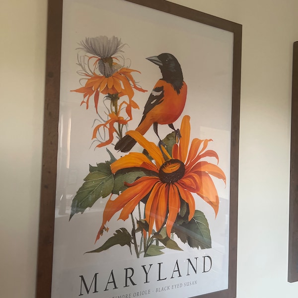Maryland State Bird Art Print, Maryland State Flower, Maryland Wall Art ...