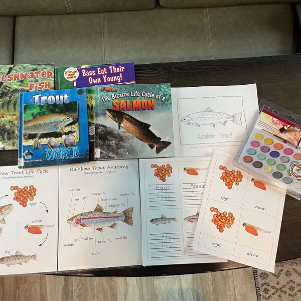 EDITABLE Hopscotch: Sensory Path With WORDS & NUMBERS, Printable Floor ...