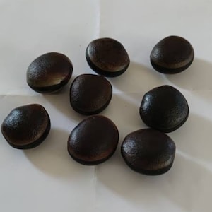 50 Grams of Large Seeds of Indian Soapberry sapindus Mukorossi or About ...