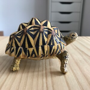 1:1 Life Size Red Footed Tortoise Turtle Replica Model | Etsy