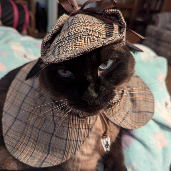 Cat Detective Costume Halloween, Sherlock Holmes Cape & Deerstalker Hat ...
