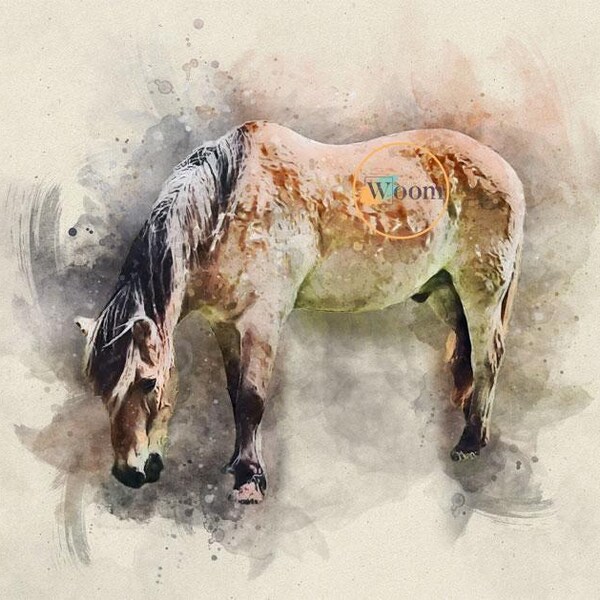 Custom Horse Watercolour Custom Drawing Horse Portrait From Photo ...