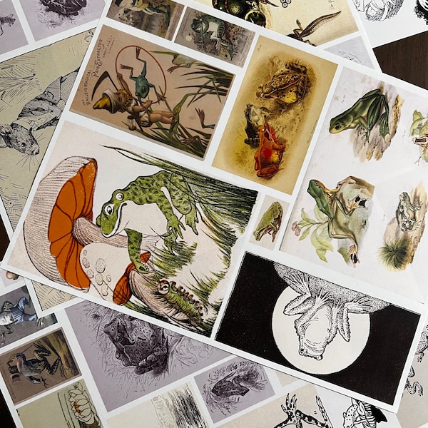 Vintage Frog Ephemera Kit | 40+ Pc | Toad Junk Journal Paper, Trade ...