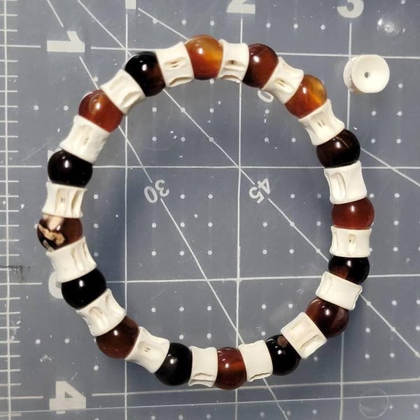 SET OF 100 Real Snake Head Cowry Shells Cypraea Caputserpentis Cowries ...
