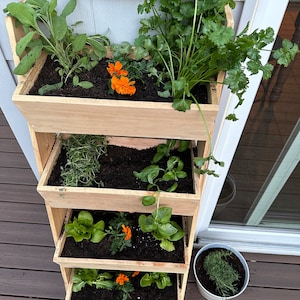 Living Wall, Vertical CEDAR Planter Box Ladder, larger Sizes ...