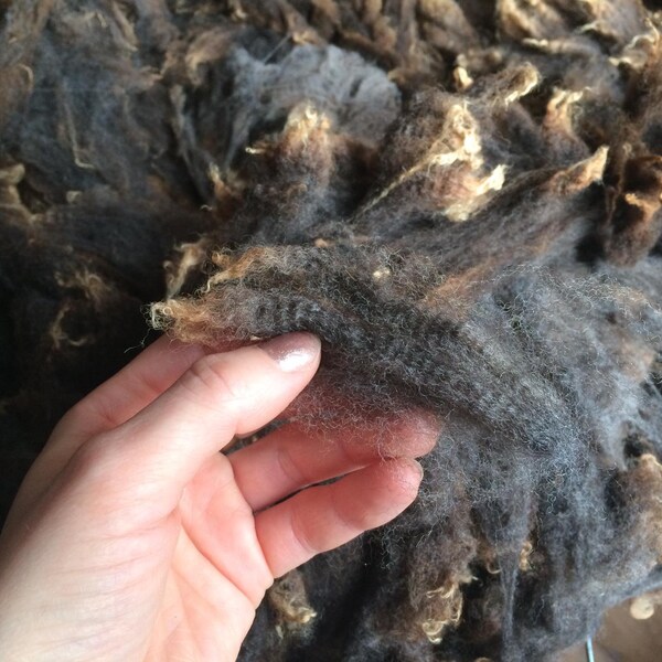 Bird Nesting Material Wool Nesting Bird Feeder British Wool - Etsy