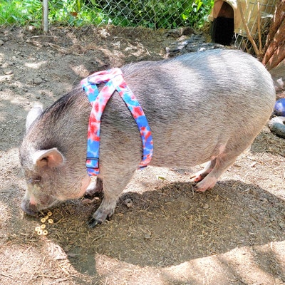 Flannel Mini Pig Harness You Choose Fabric - Etsy