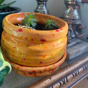 Succulent Planter / Azalea Pot / Ceramic Succulent Pot / | Etsy