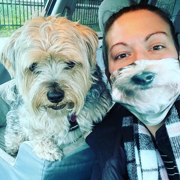 Doodle Dog Face Mask, Nose Wire Included. Adult & Child Face Mask ...