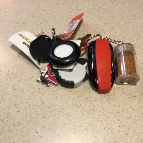 Food Seasoning Keychain | Adobo | Tajin | Lawry's | Sazon | Old Bay ...