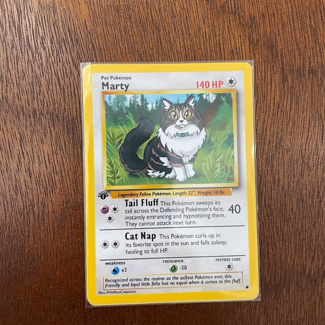 Cat Pokemon