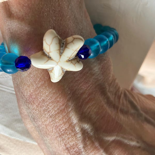 Seashells, Variety From Sanibel Captiva Islands Includes Scallops ...