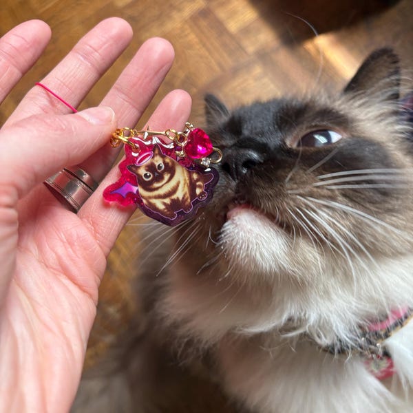 Mulch Gang for Life Mulchmaxxing Dog Tiktok Meme T-shirt - Etsy