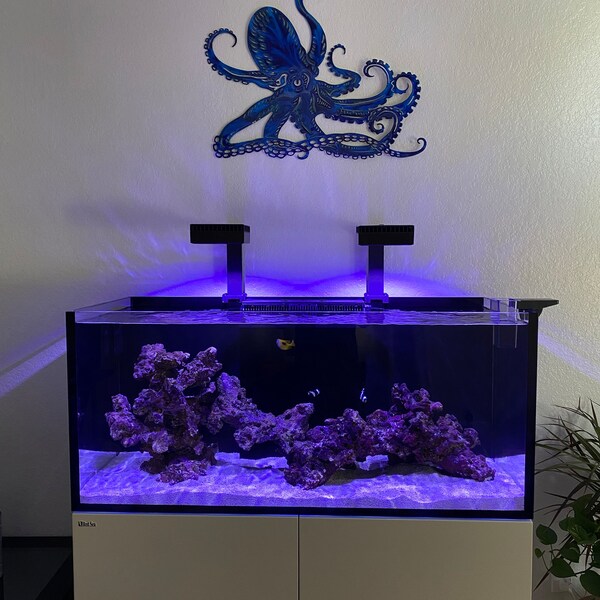 Hand Painted Octopus Compass Rose Metal Wall Art - Etsy