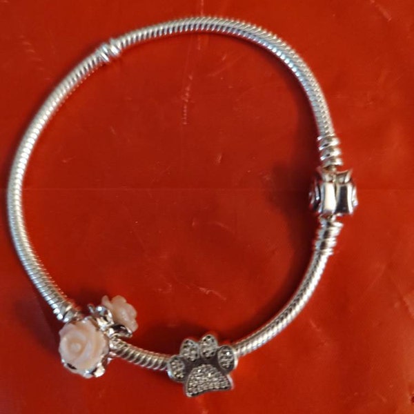 New Silver Shine Collection 14K Gold-plated Chinese Fortune pi Xiu ...