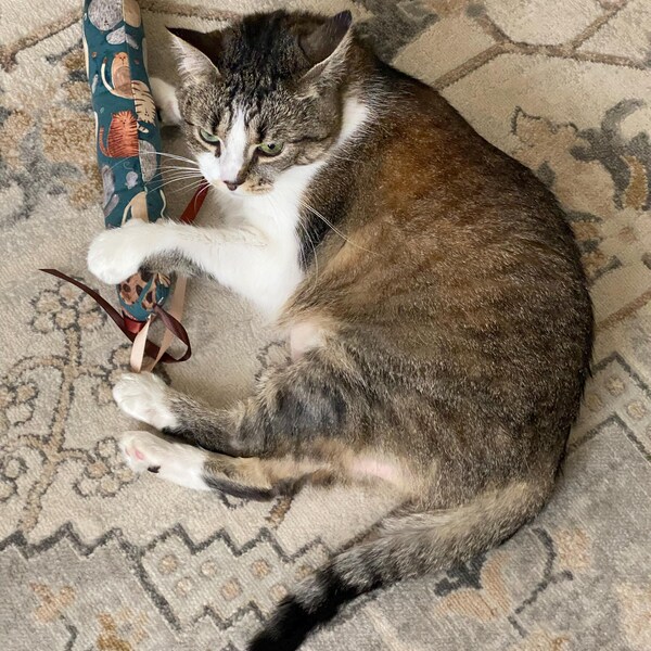 Large Cat Kicker Toy With Ribbons. 12” to 13” Long. Quality Catnip ...