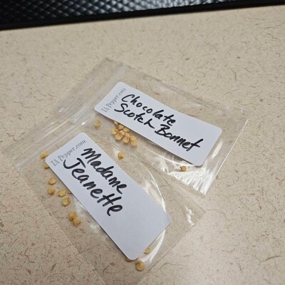 15 Numex Pinata Pepper Seeds isolated-padded Envelope Shipping ...