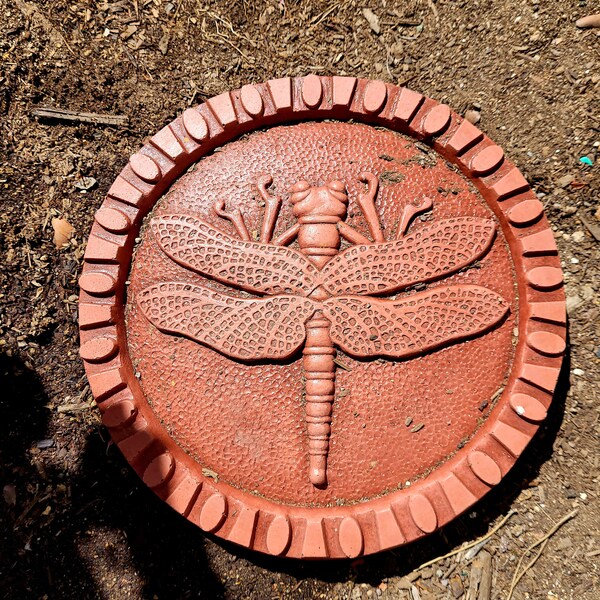 Concrete Dragonfly Stepping Stone (terracotta) and Garden Plaque - Etsy