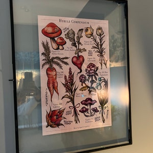 Hyrule Compendium Breath of the Wild Tears of the Kingdom Botanical ...