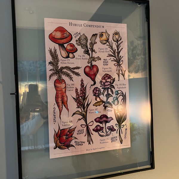 Hyrule Compendium Breath of the Wild Tears of the Kingdom Botanical ...