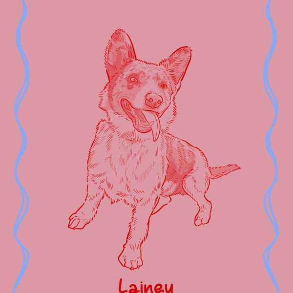 Custom Funky Pet Portrait, Cute Digital Cat Poster, Custom Badly Drawn ...