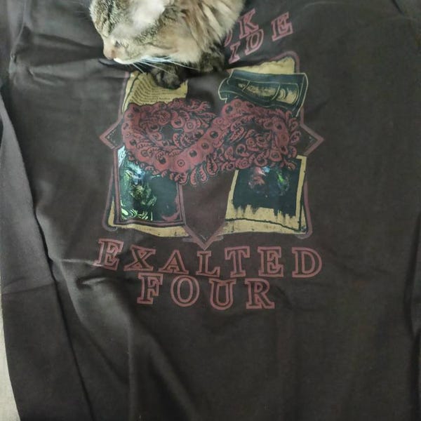 Look Outside Exalted Four T-shirt | Look Outside Game | Exalted Four ...
