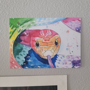 Snakes Vinyl Stickers/decals: Ball Python, Black Rat Snake, Corn Snake ...