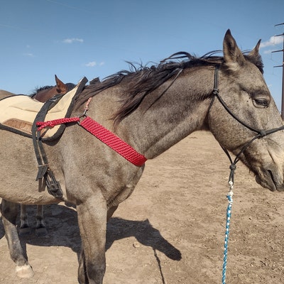 Braided Mule Tape Twist Hobble - Etsy