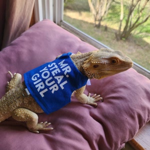 Bearded Dragon Leash, Bearded Dragon Harness, Lizard Leash, Lizard ...