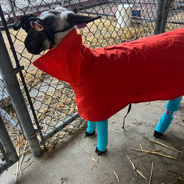 Sheep Leg Wraps, Goat Leg Wraps, Mini Horse Leg Wraps, Serape Cheetah ...