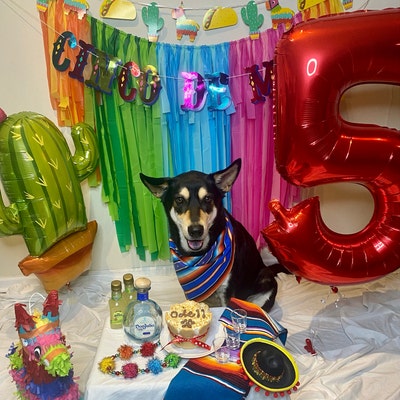 Cinco De Mayo Party Decorations, Fiesta Theme Party Decorations, Fiesta ...