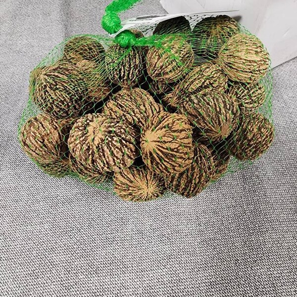 Black Walnut Shell Halves - Perfect for Crafts or Jewelry - Etsy