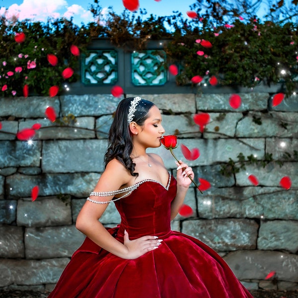 80 Wedding Veil Overlays, Wedding Dress Overlays, Flying Fabric Overlay ...