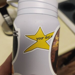 Your Did It Star Funny Meme Sticker for Laptop, Bottle, Hydroflask ...