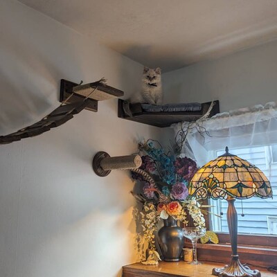 Wall Mounted Cat Furniture Cat Shelves Cat Furniture for - Etsy