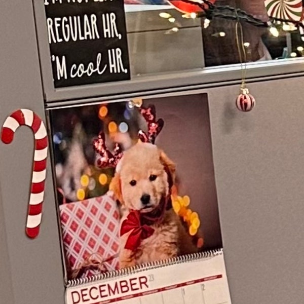 I’m Not Like Regular HR I’m Cool Sign - Office Decor - Human Resources ...