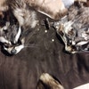 Coyote Pelt Fur Mantle With Black Deerskin - Etsy