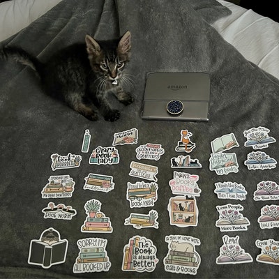 30 PCS Book and Cat Mix Vinyl Sticker Pack Love Reading Vinyl Stickers ...