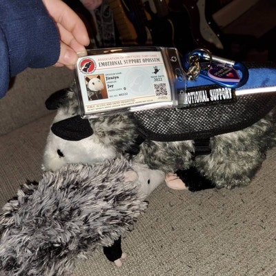 Emotional Support Opossum Possum Plush Stuffed Animal Personalized Gift ...