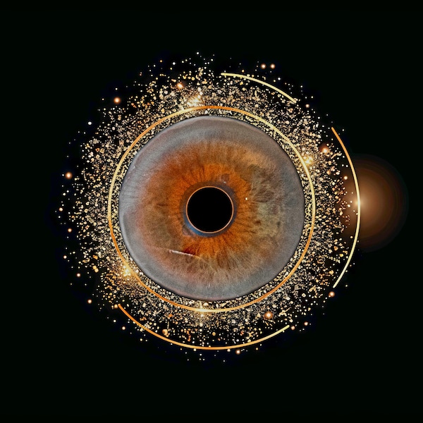 Insert Composite PSD + PNG Oeil Iris Photographie écrin Overlay L ... Insert Composite PSD + PNG Oeil Iris Photographie écrin Overlay L ...