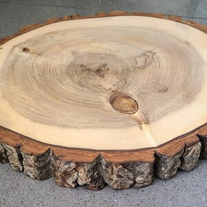 Log Slice Slab for Cake Stand Cutting Board Charcuterie - Etsy