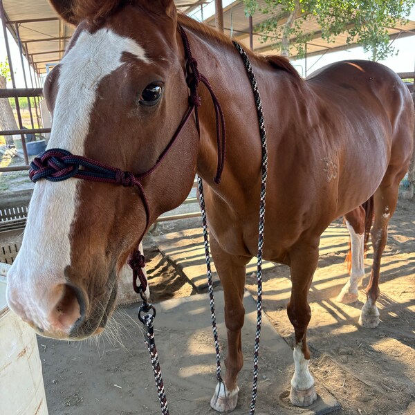 Yacht Rope Sport Mecate Reins W Poppers Use With Slobber Straps Snaffle ...