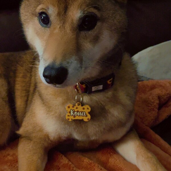 Checker Pet Tag - Customizable Dog ID With Retro Checkerprint Theme ...