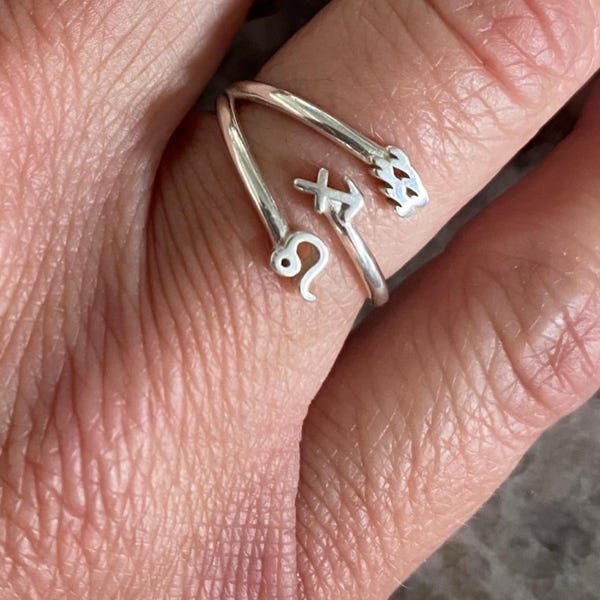 925 Silver Zodiac Ring,astrology Ring,horoscope Ring,family Zodiac ...