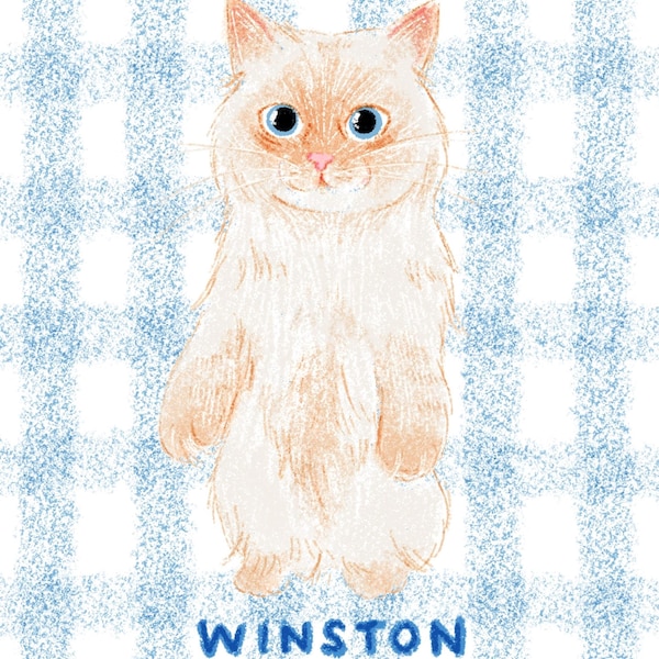 Custom Badly Drawn Pet Portrait, Personalized Cat Portrait, Unique Pet ...